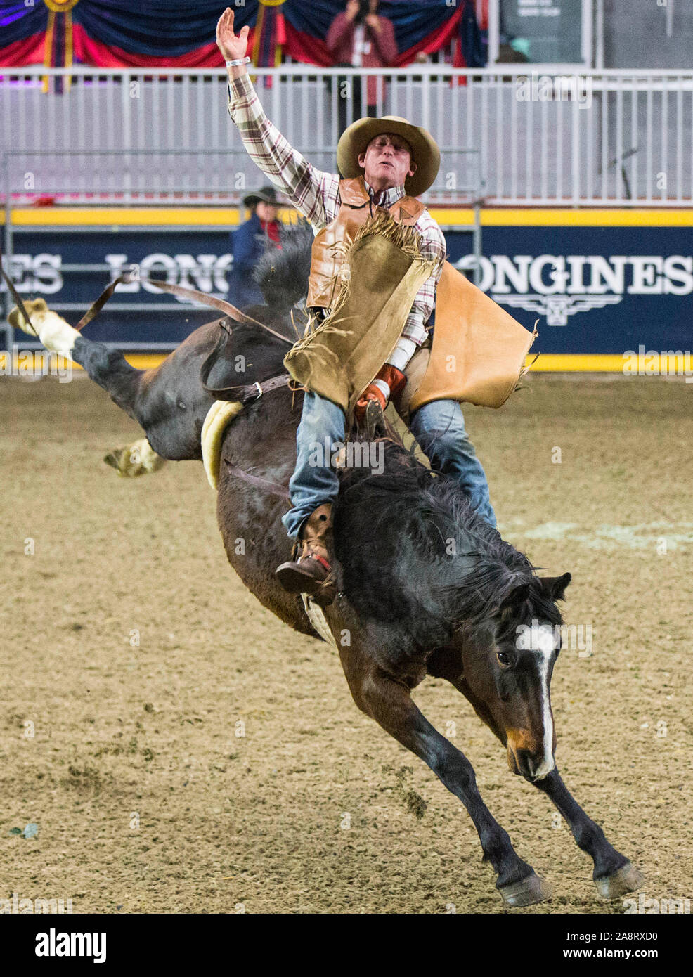 Toronto, Canada. 10th Nov, 2019. Cowboy Ritchie Welch of Canada ...