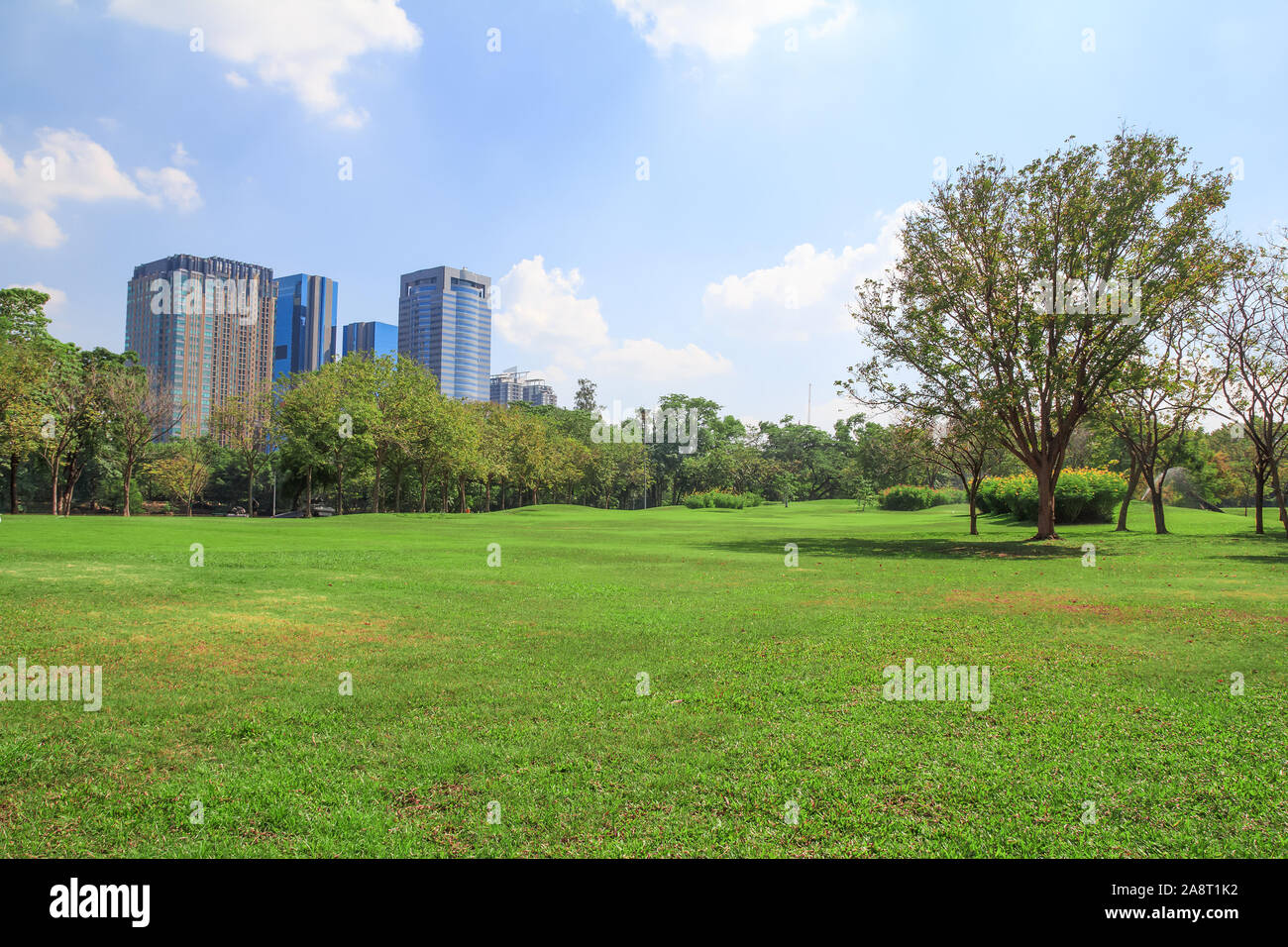 City park under blue sky with building background Stock Photo - Alamy
