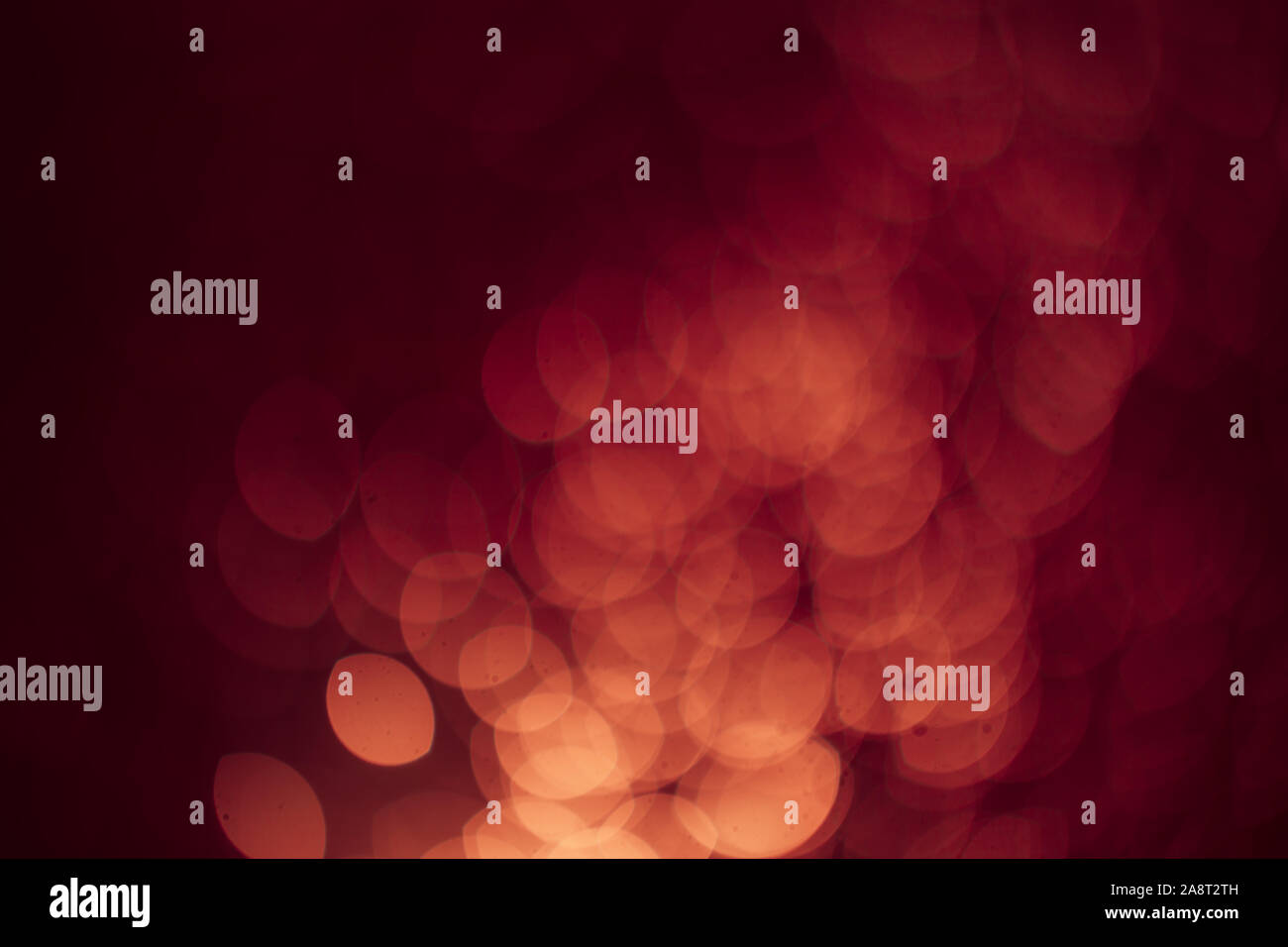 Reb gold Festive Christmas Beautiful abstract Background with bokeh ...