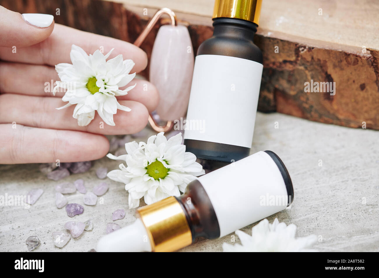 Hand of woman taking small bottles with daisy serum with blank stickers ...