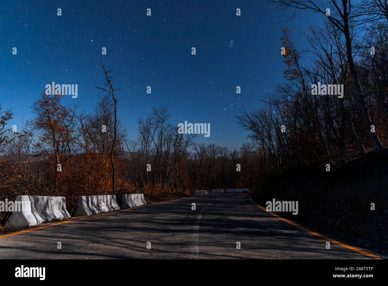Night Autumn forest under the moonlit and starry sky Stock Photo - Alamy