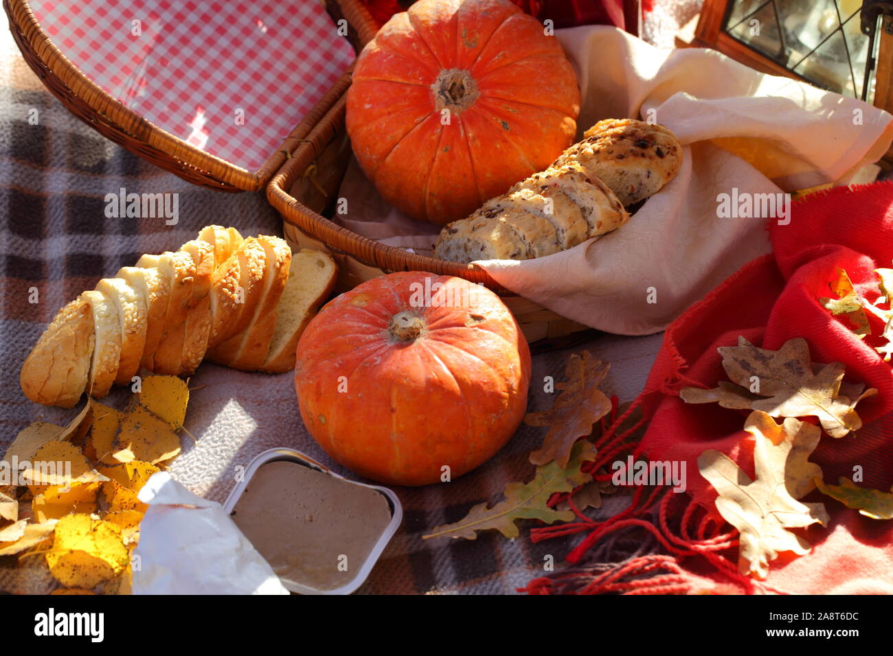 Picnic in autumn park with pumpkins, tea and bacon sandwiches Stock ...