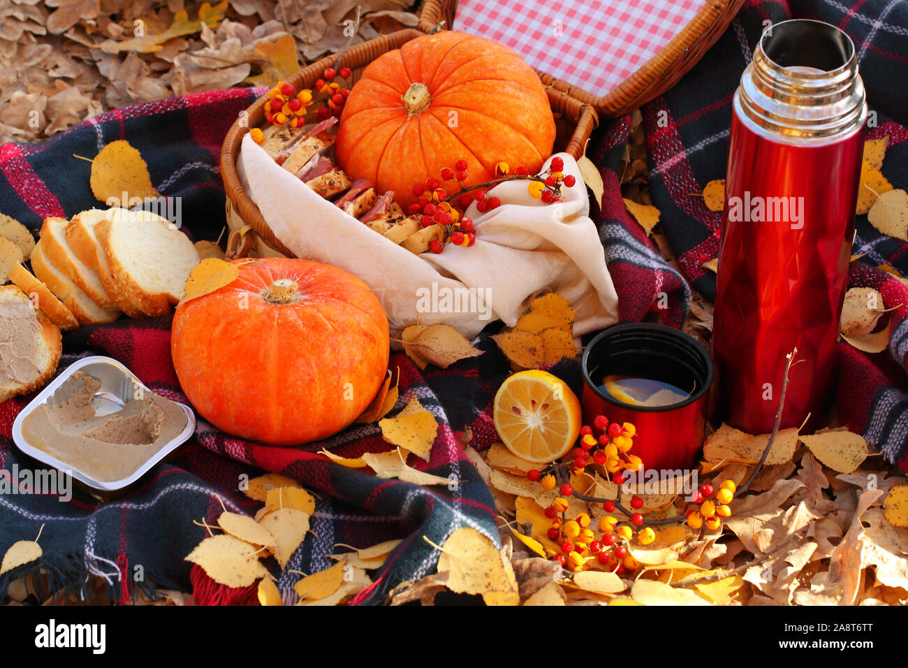 Picnic in autumn park with pumpkins, tea and bacon sandwiches Stock ...