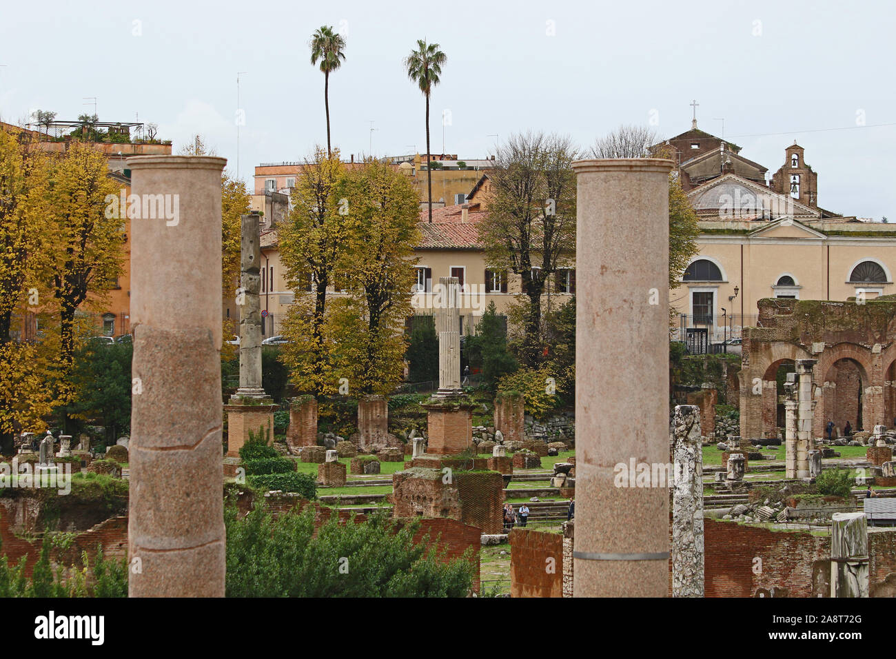 ancient columns and ruins in the streets of Rome with palm trees and ...