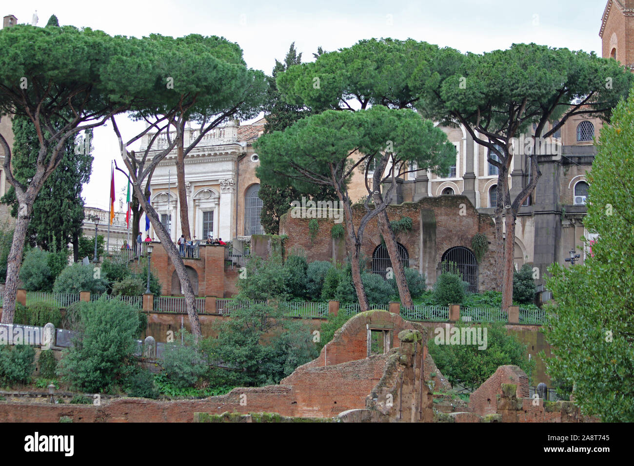 ancient columns and ruins in the streets of Rome with Mediterranean ...