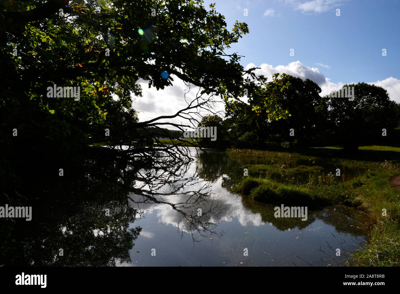 River hamble country park, hampshire hi-res stock photography and ...