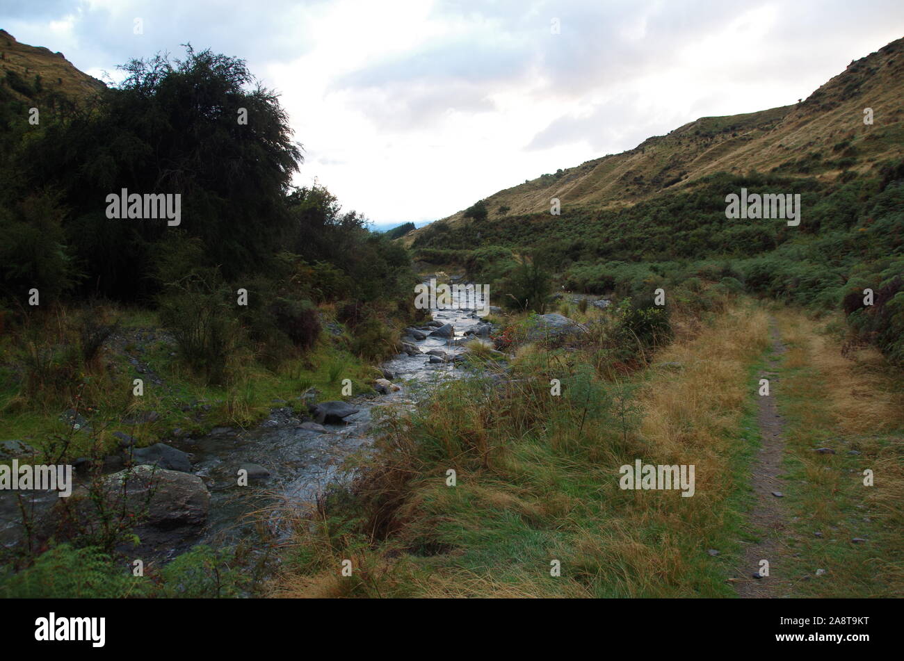Te Araroa Trail. Motatapu Alpine Track. South Island. New Zealand Stock ...