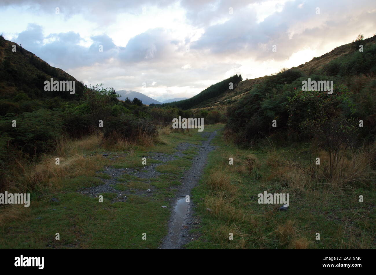 Te Araroa Trail. Motatapu Alpine Track. South Island. New Zealand Stock ...