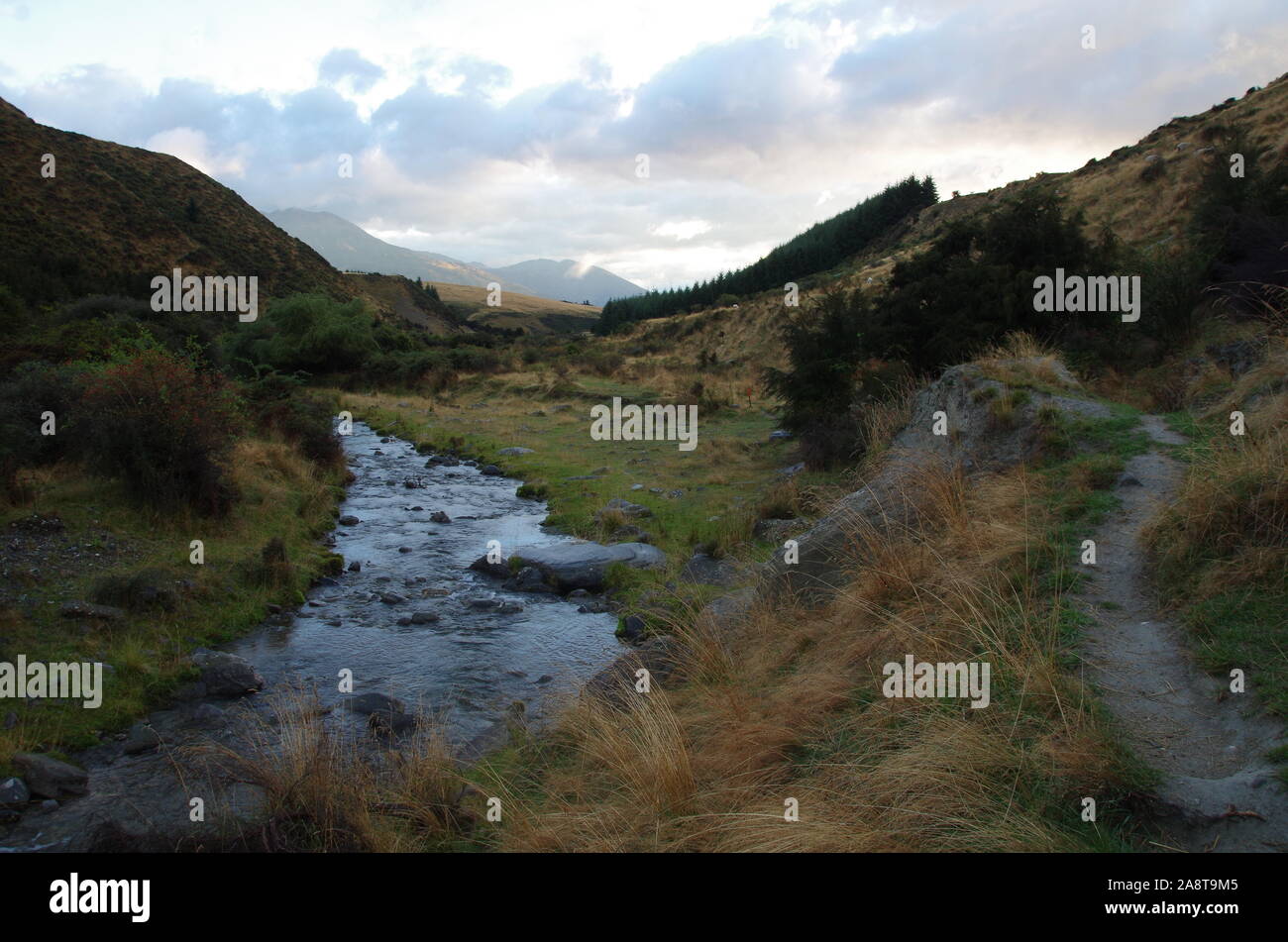 Te Araroa Trail. Motatapu Alpine Track. South Island. New Zealand Stock ...