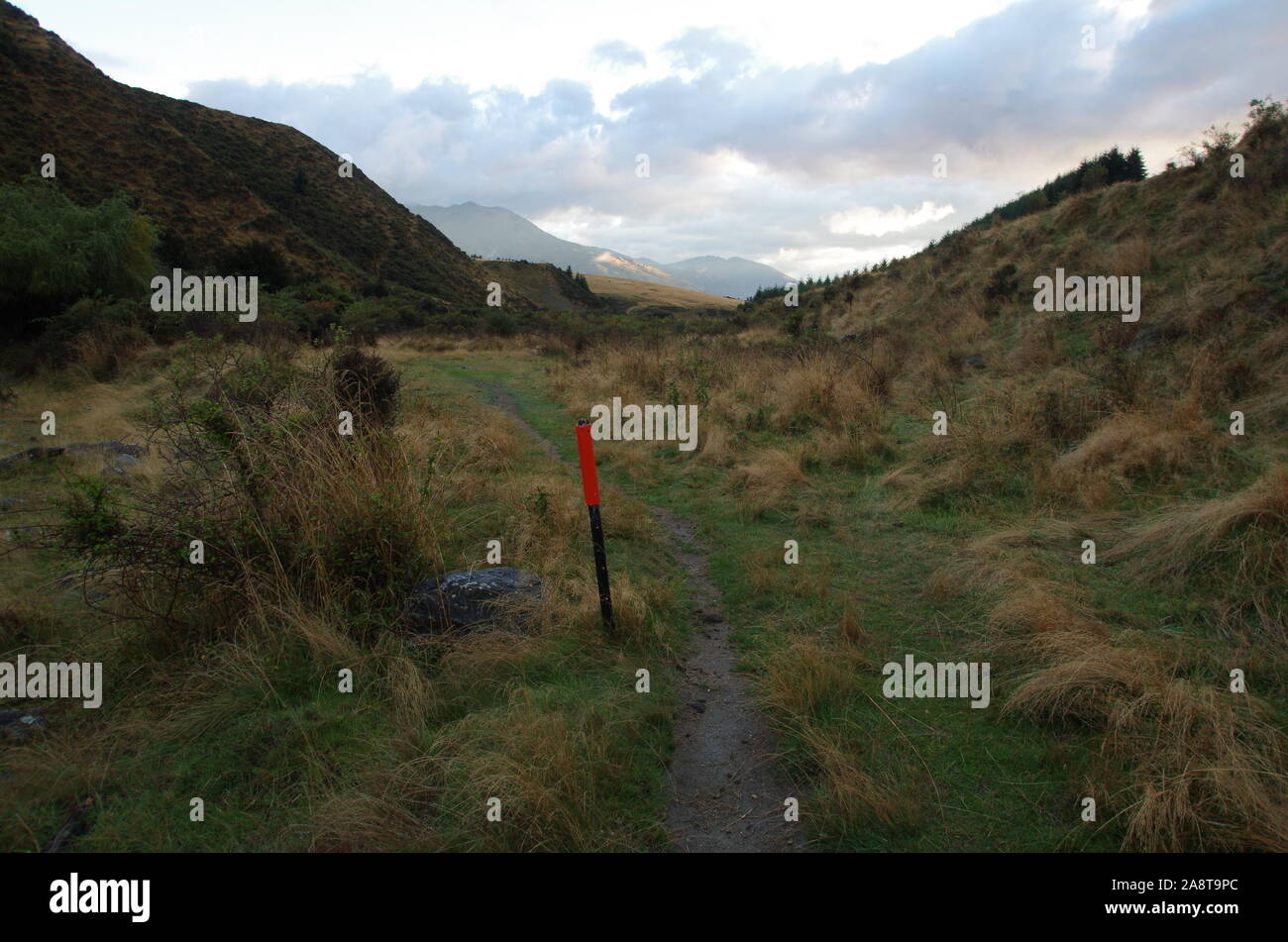 Te Araroa Trail. Motatapu Alpine Track. South Island. New Zealand Stock ...
