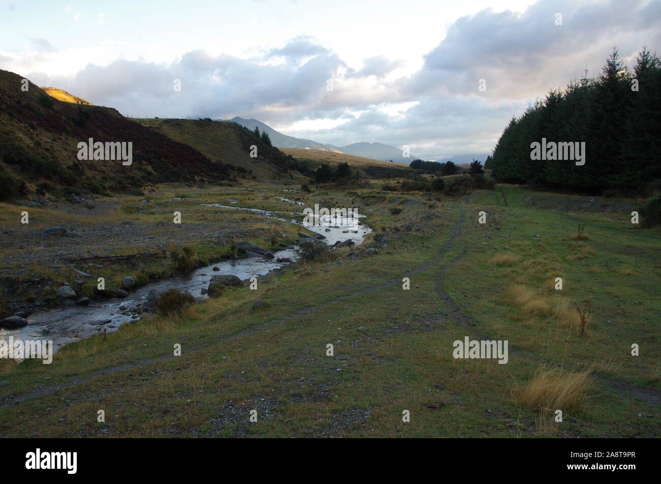 Te Araroa Trail. Motatapu Alpine Track. South Island. New Zealand Stock ...