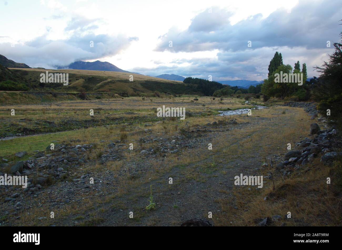 Te Araroa Trail. Motatapu Alpine Track. South Island. New Zealand Stock ...