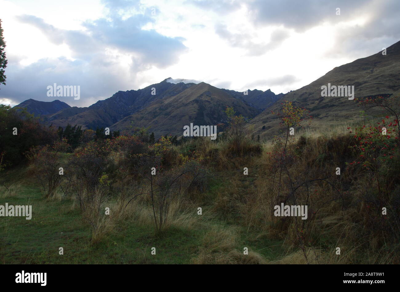 Te Araroa Trail. Motatapu Alpine Track. South Island. New Zealand Stock ...