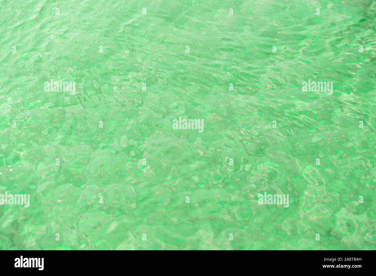 Green swimming pool hi-res stock photography and images - Alamy