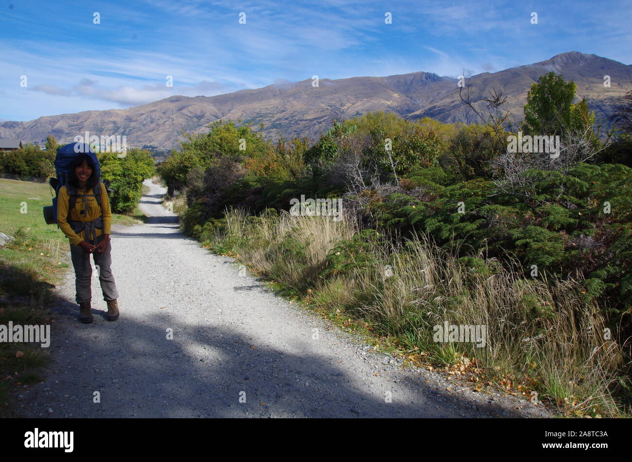 Te Araroa Trail. Lake Wanaka. South Island. New Zealand Stock Photo - Alamy