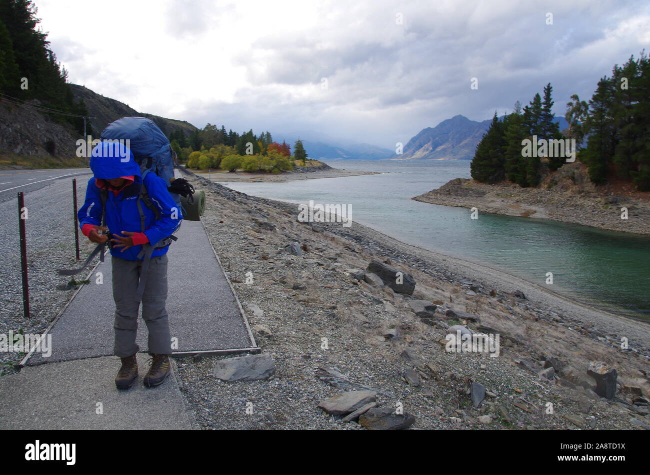 Te Araroa Trail. Lake Hawea. South Island. New Zealand Stock Photo - Alamy