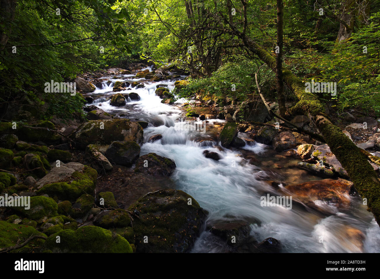 The Garska Reka river in Mavrovo National Park, Macedonia Stock Photo ...