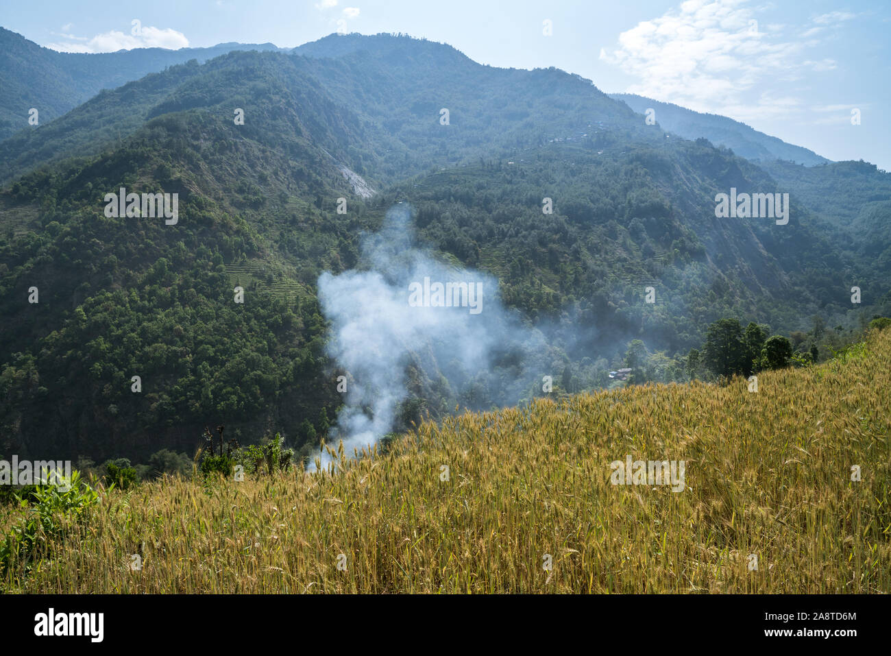 Vicinities of Ghara village in Annapurba Conservation Area. Nepal Stock ...