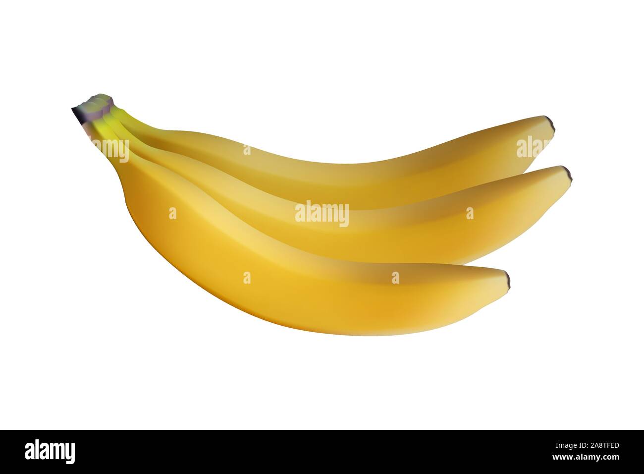 Banana Bunch Vector
