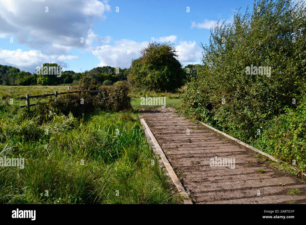 Itchen valley country park hi-res stock photography and images - Alamy