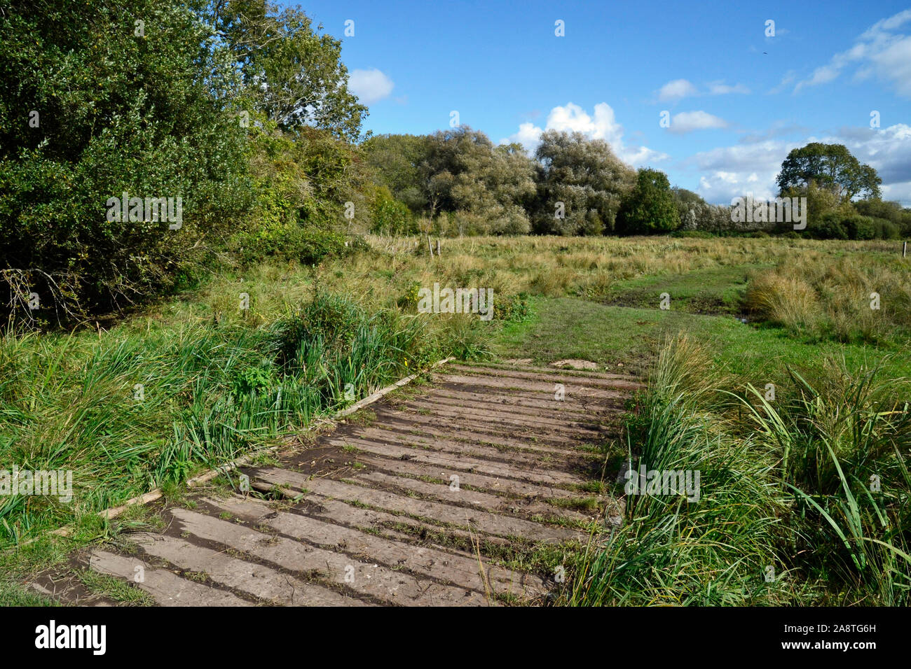 Itchen Valley Country Park, West End, Hampshire, England, UK Stock ...