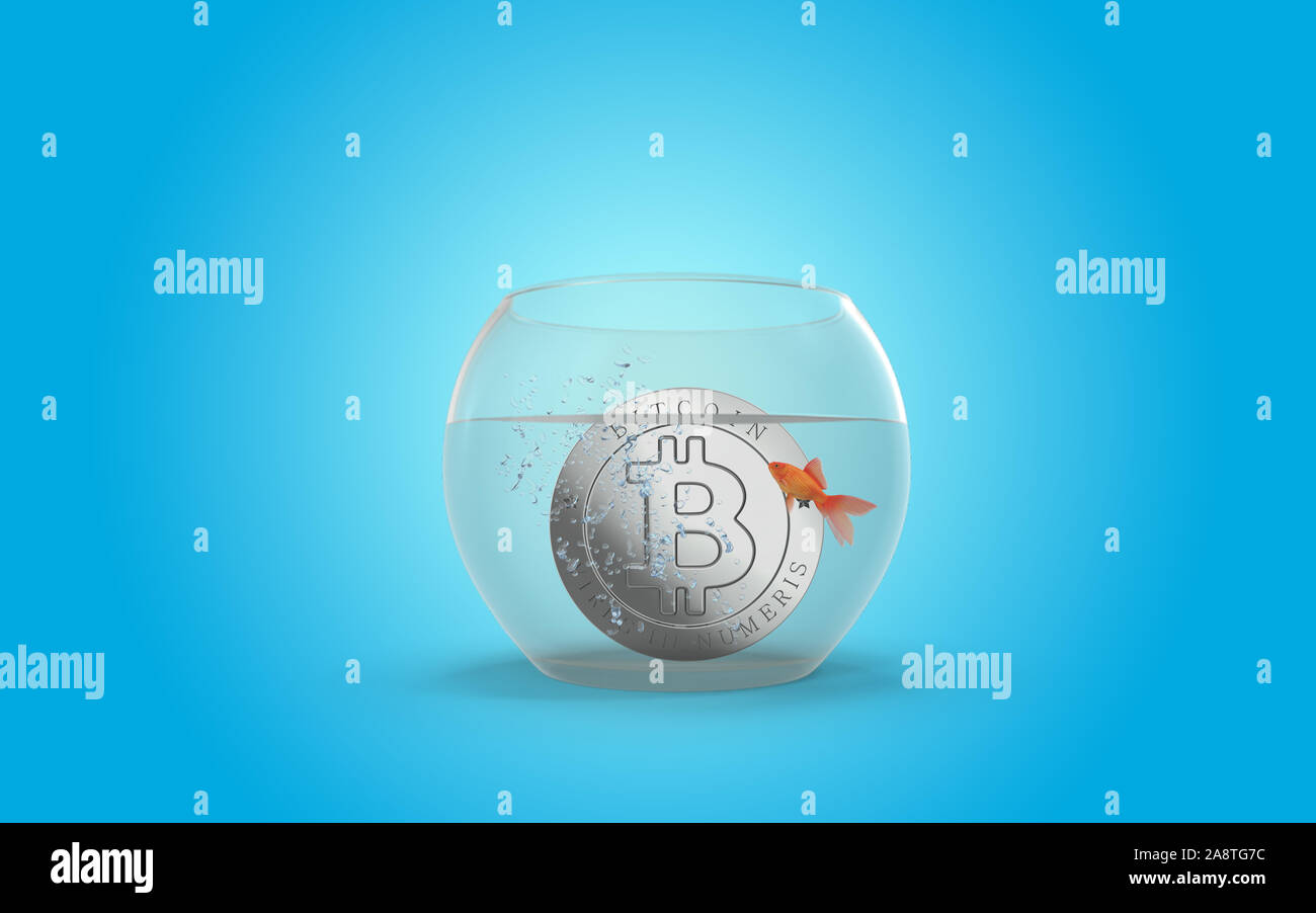 Bitcoin coin in an aquarium symbolizes love, relationships, global ...