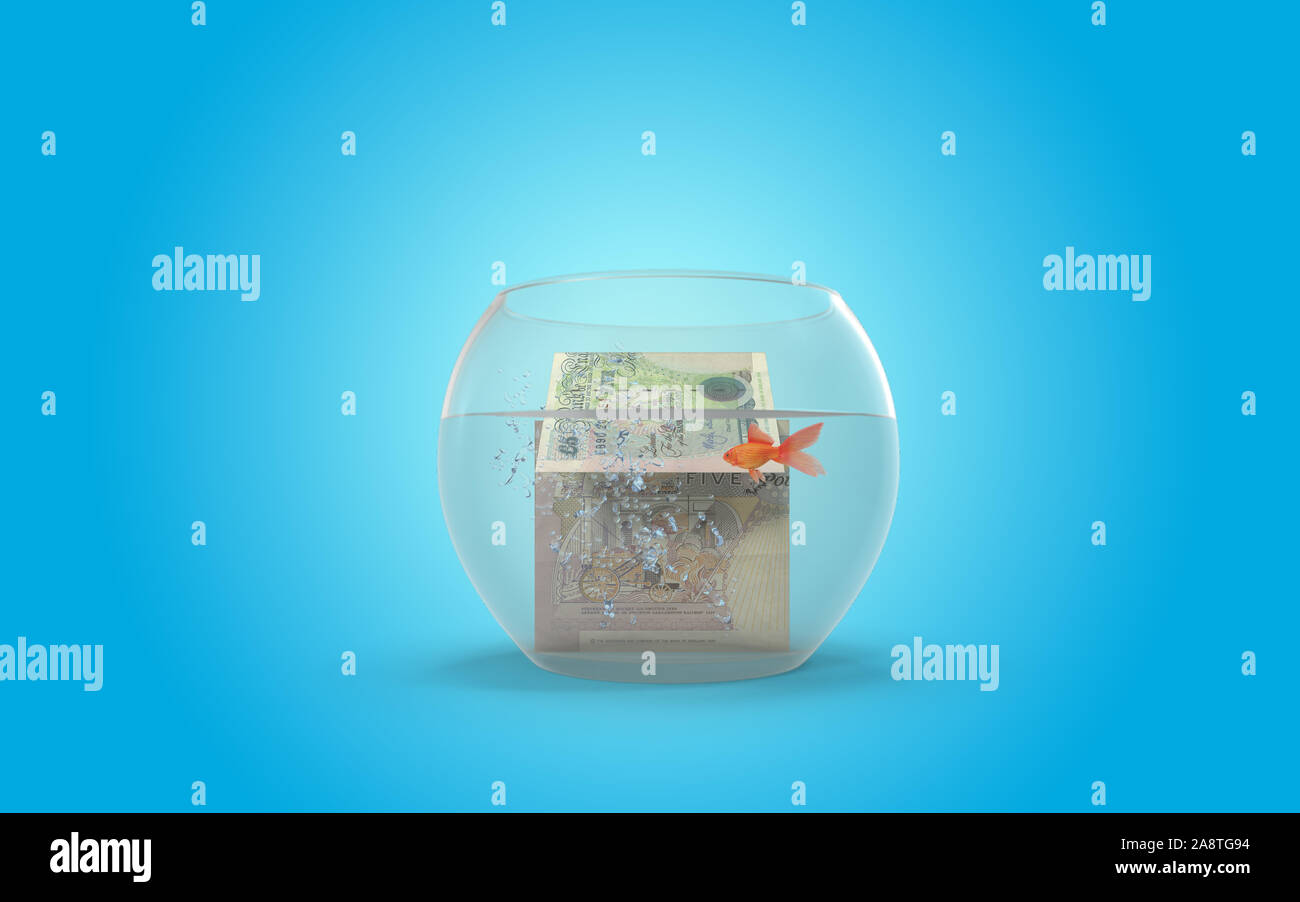 3D Five Pound Note in House Shape in an aquarium symbolizes love ...
