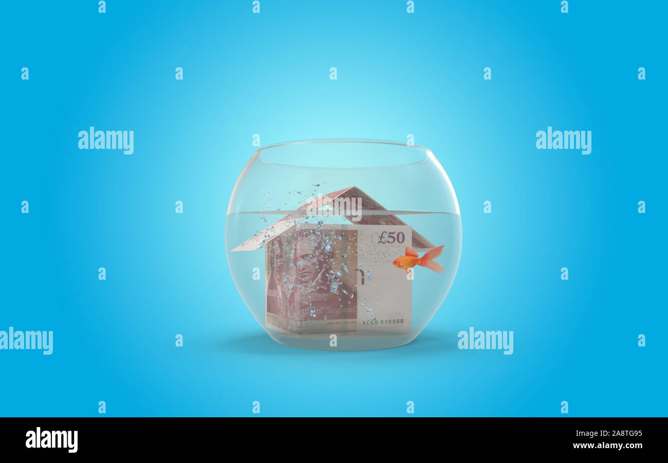 3D Fifty Pound Note in House Shape in an aquarium symbolizes love ...