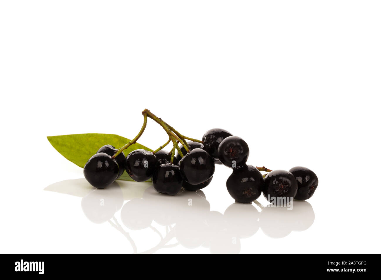 Fresh acai berry isolated Cut Out Stock Images & Pictures - Alamy