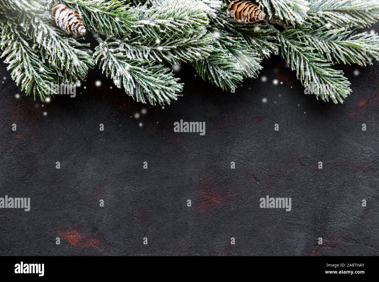 Christmas tree branch with pine cones on black concrete background with ...