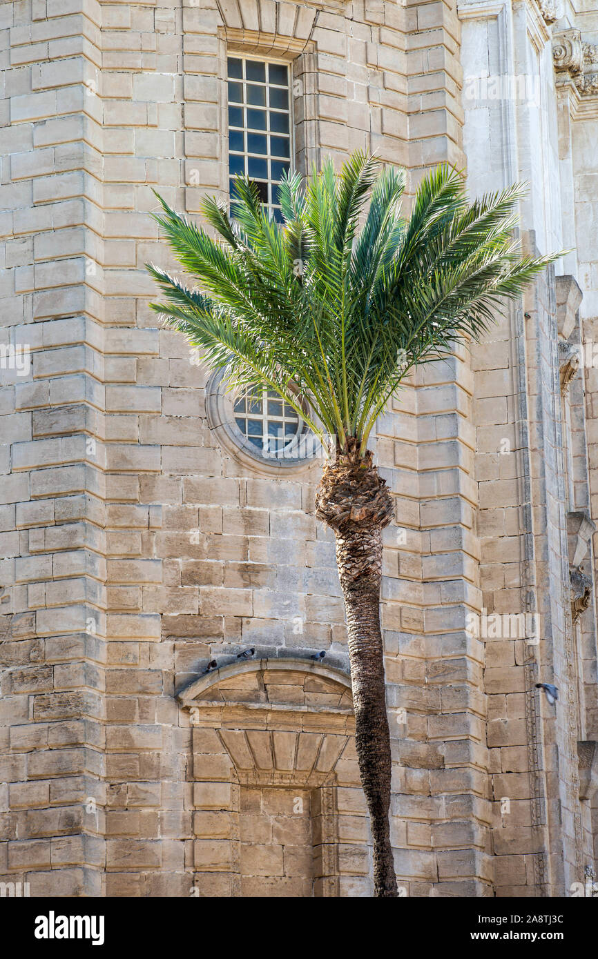 The Old Buildings in Cadiz Stock Photo - Alamy
