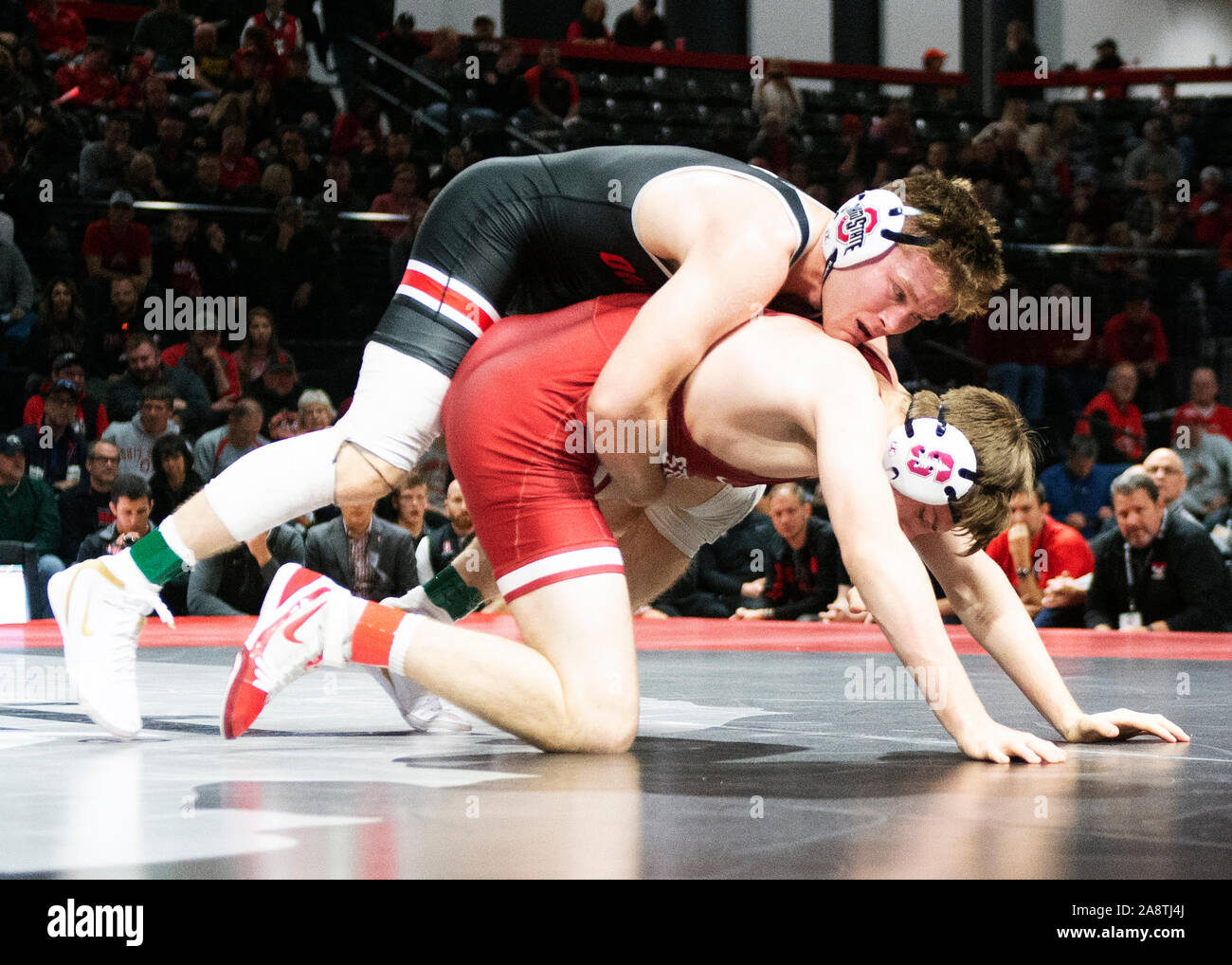 November 10, 2019: Ohio State Buckeyes Zach Steiner (black) wrestles ...