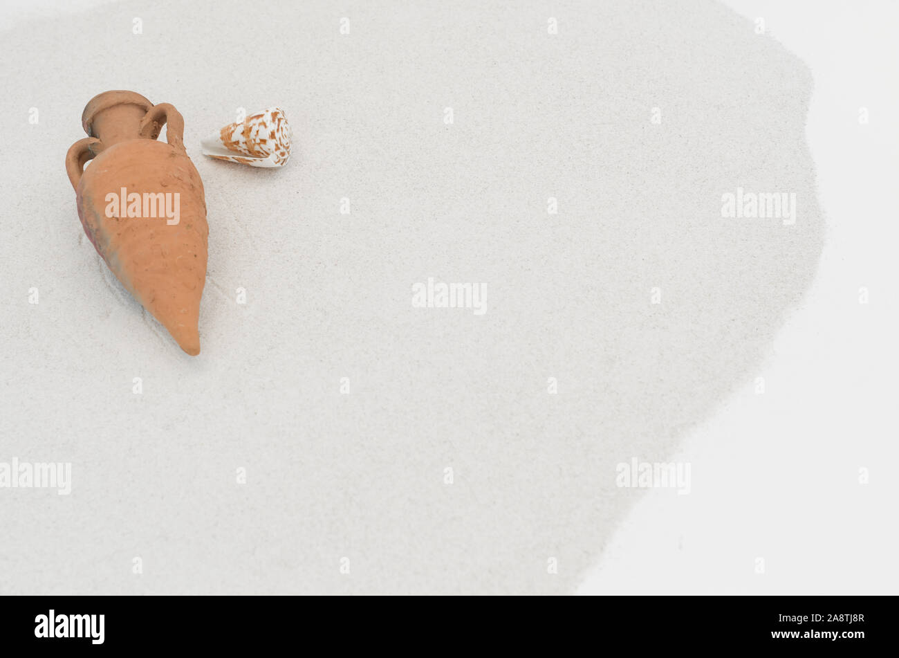 sea shell still life top perspective on white sea sand Stock Photo - Alamy