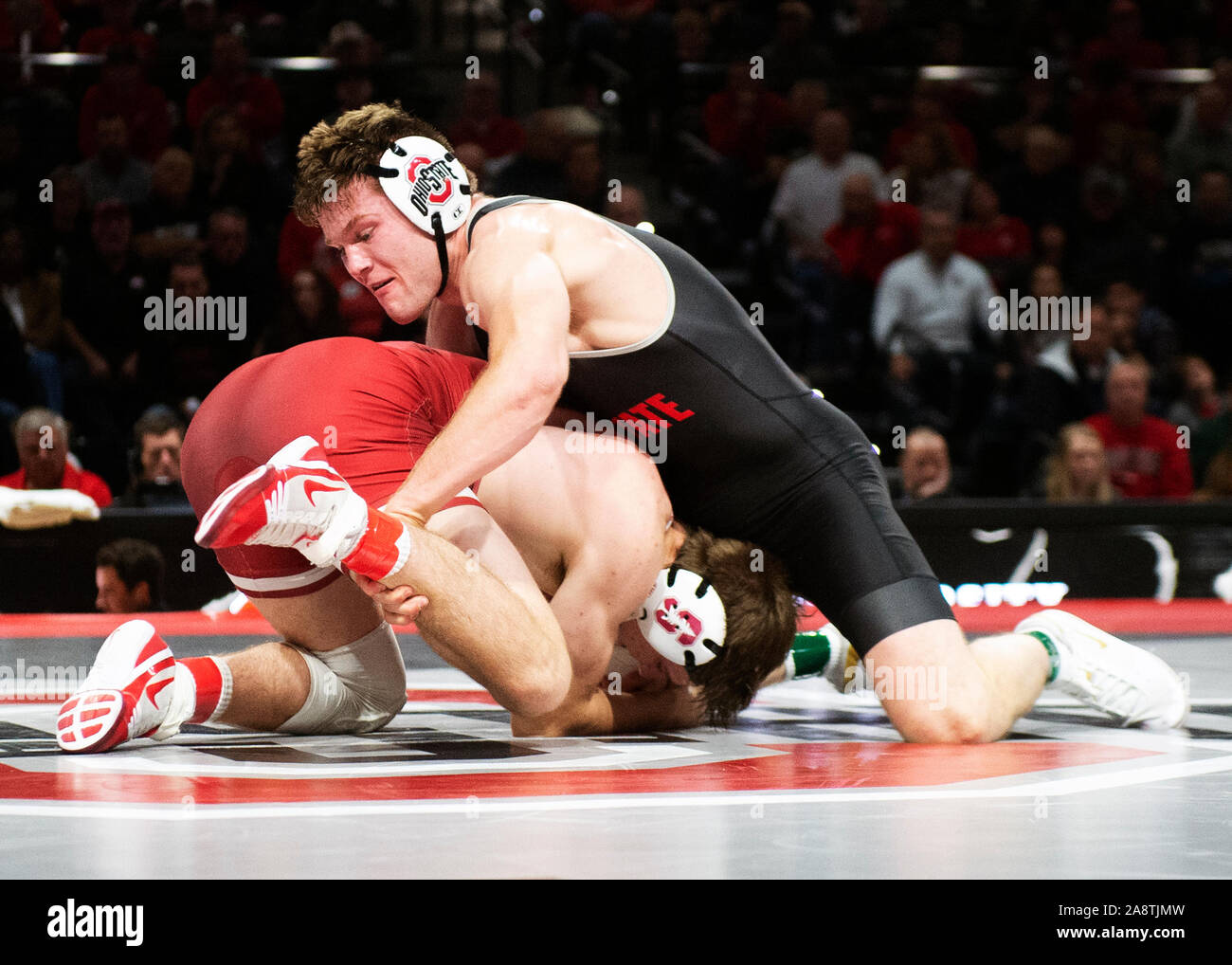 November 10, 2019: Ohio State Buckeyes Zach Steiner (black) wrestles ...