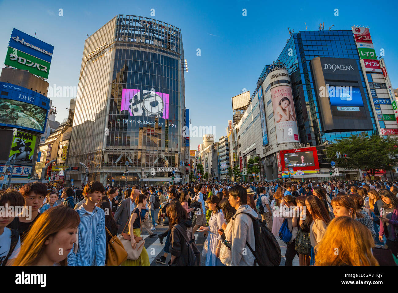 Shibuya Crossing, the busiest intersection in the World, Tokyo, Japan ...