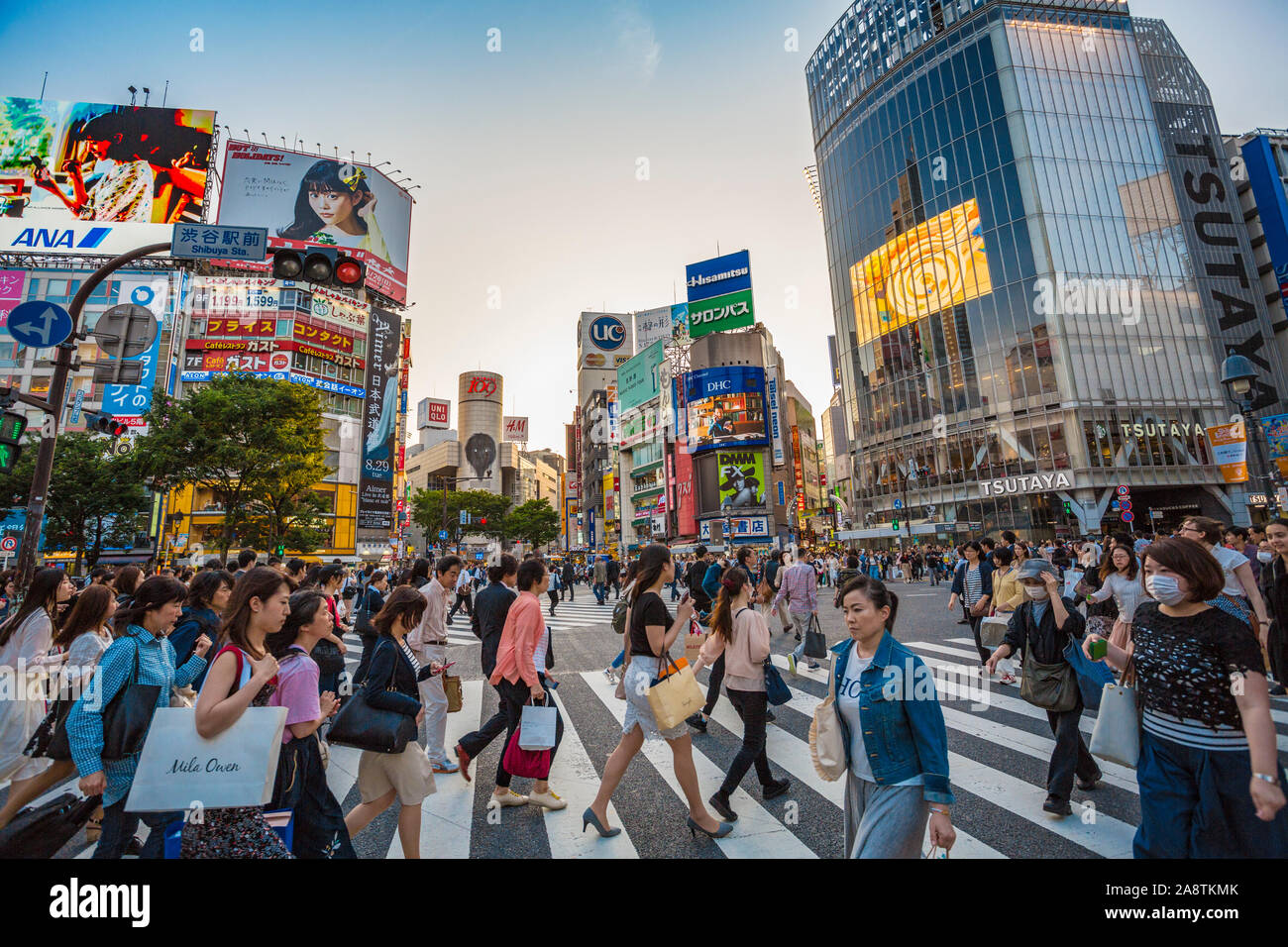 Shibuya Crossing, the busiest intersection in the World, Tokyo, Japan ...