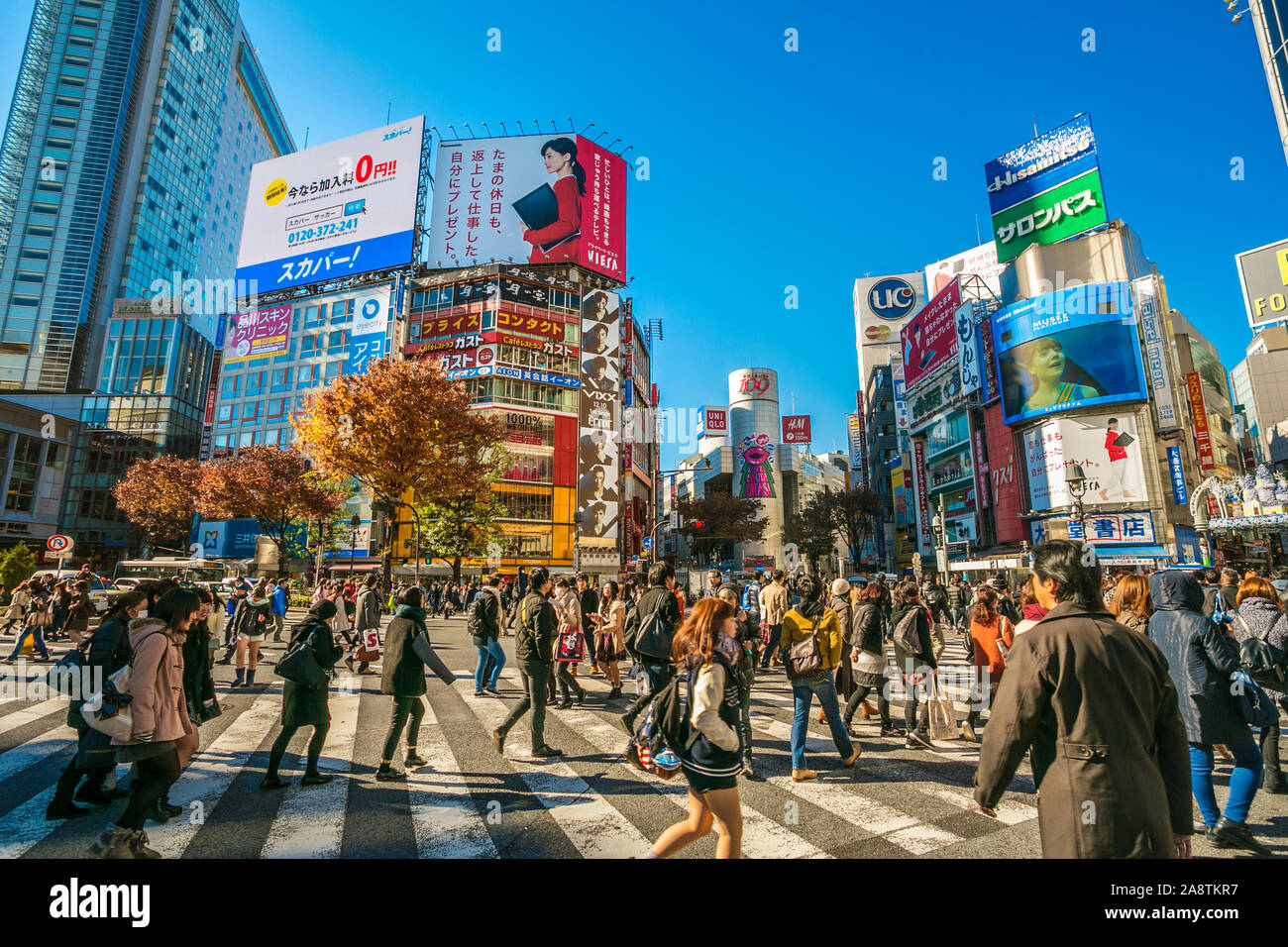 Shibuya Crossing, the busiest intersection in the World, Tokyo, Japan ...