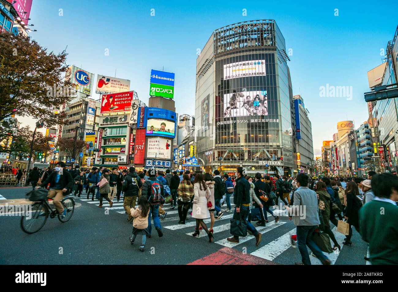 Shibuya Crossing, the busiest intersection in the World, Tokyo, Japan ...