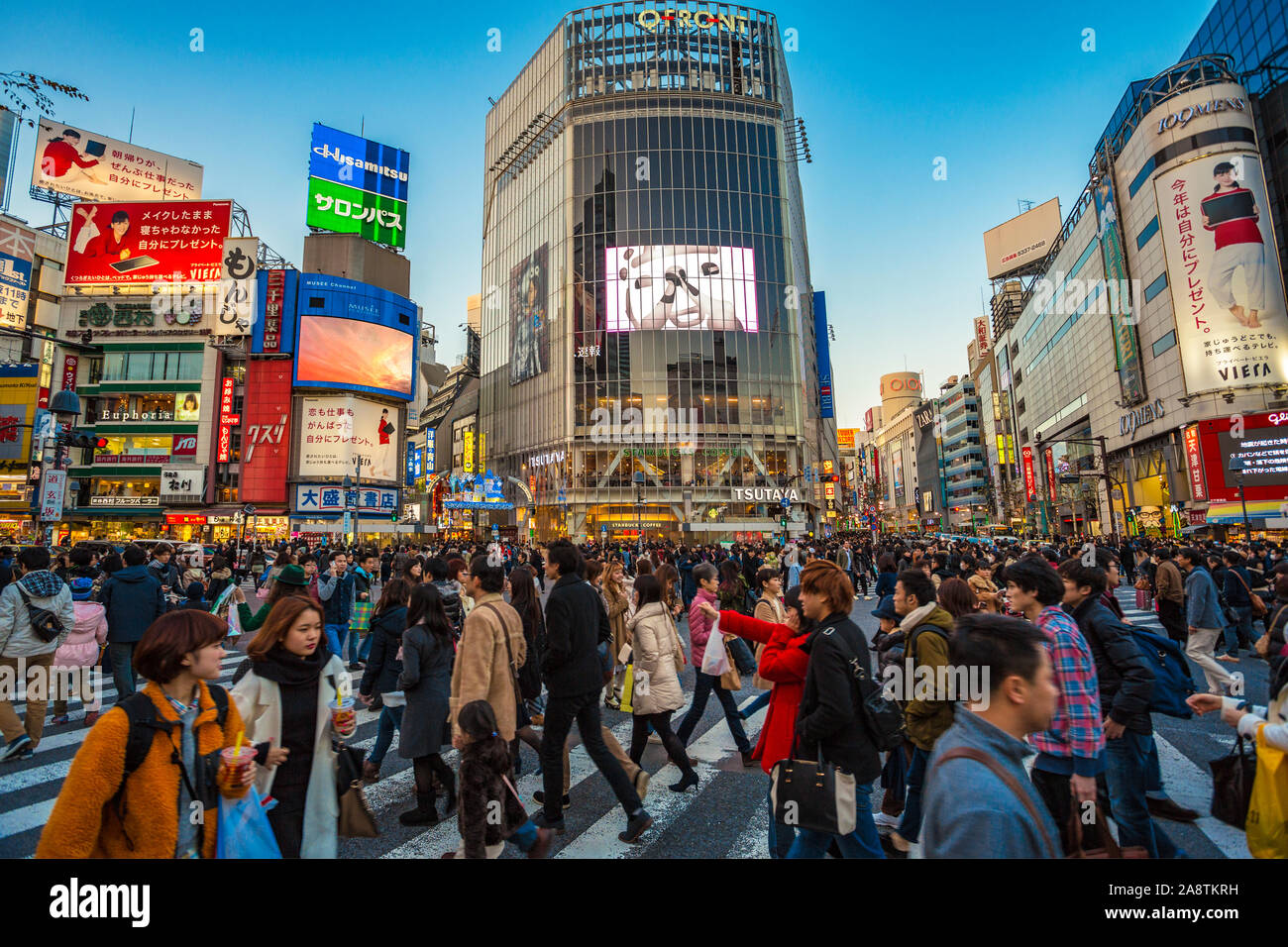 Shibuya Crossing, the busiest intersection in the World, Tokyo, Japan ...