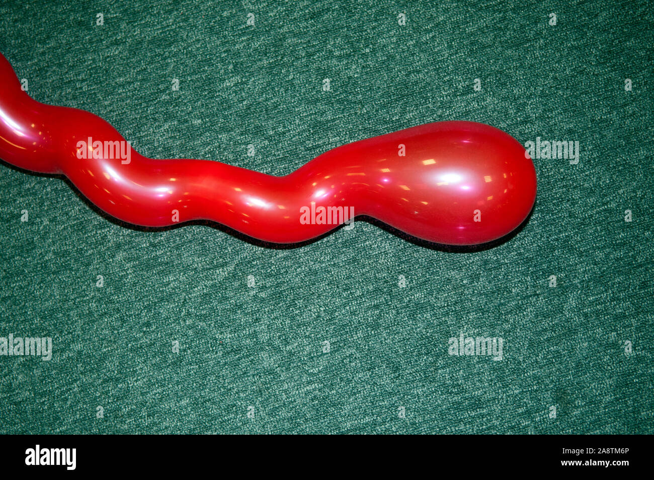 A Close Up Of An Inflated Red Party Balloon On A Carpeted Office Floor ...