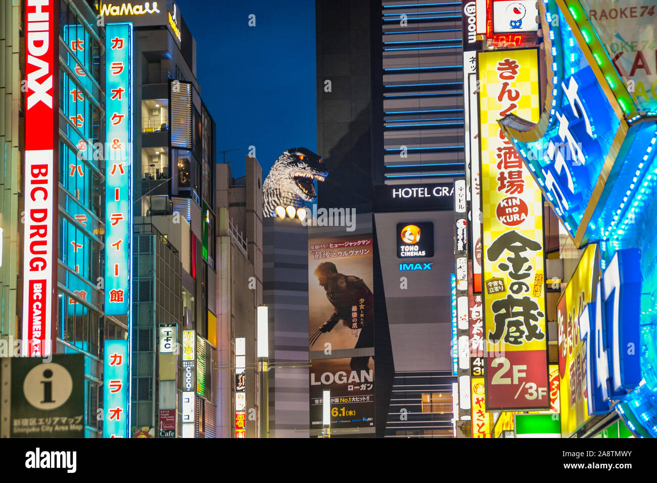 Kabukicho. Red-light district. Shinjuku district, Tokyo, Japan, Asia ...
