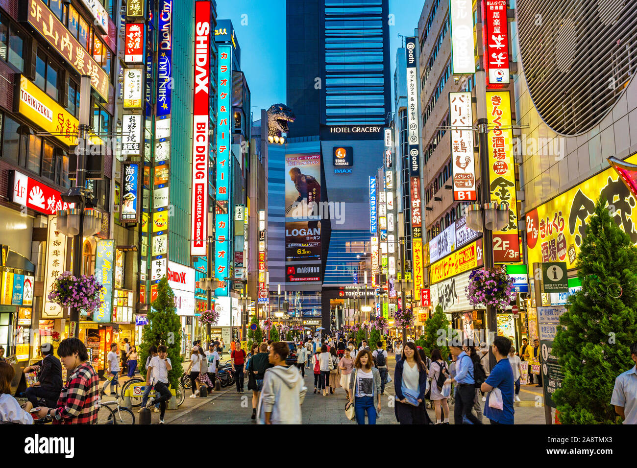Kabukicho. Red-light district. Shinjuku district, Tokyo, Japan, Asia Stock Photo - Alamy
