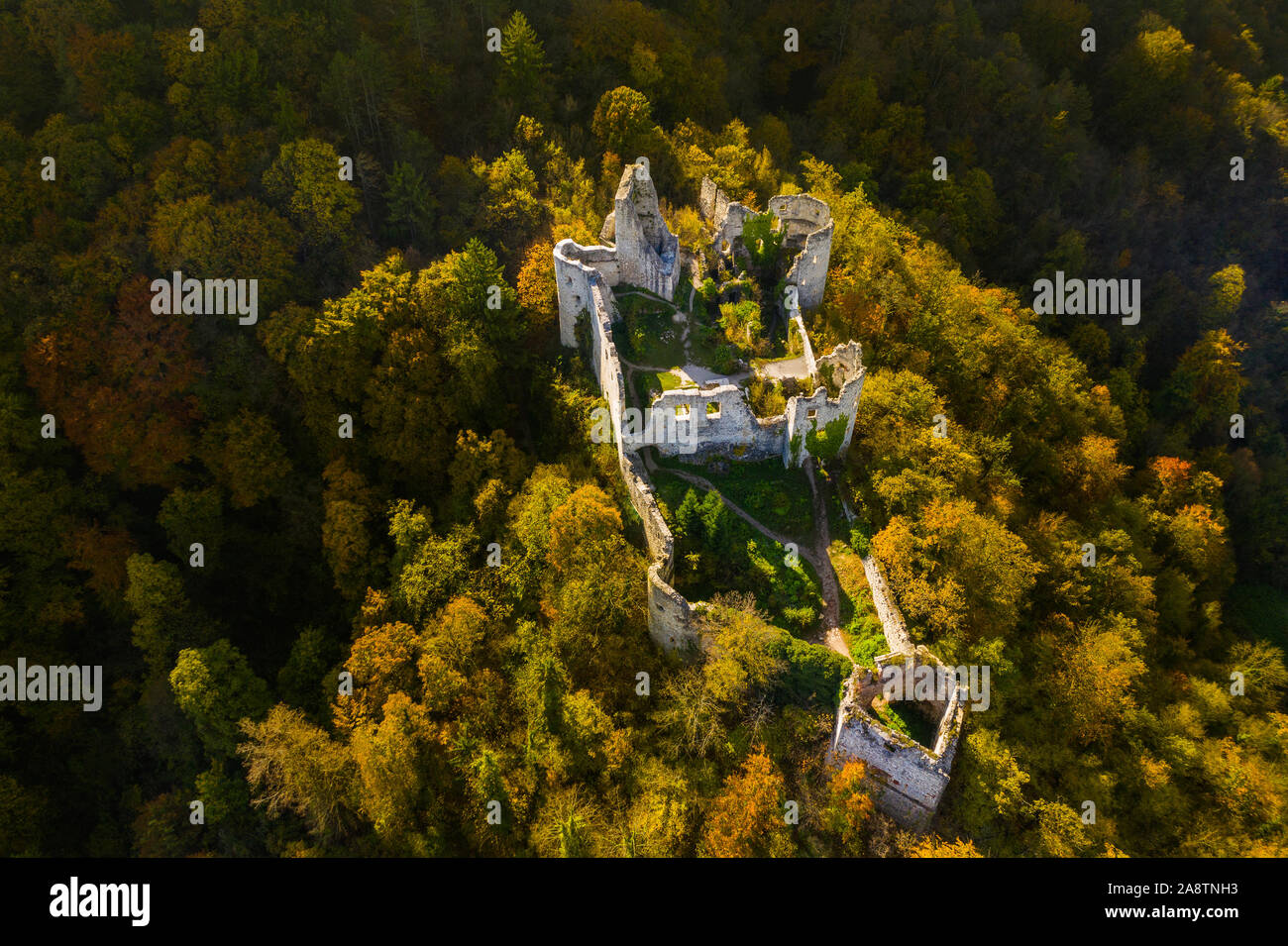 Medieval forest scene hi-res stock photography and images - Alamy