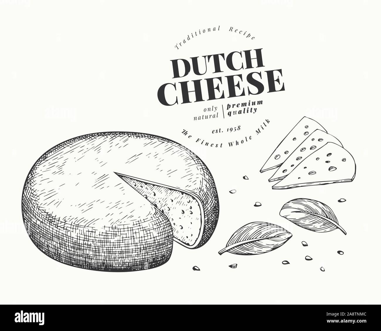 Dutch cheese illustration. Hand drawn vector dairy illustration ...