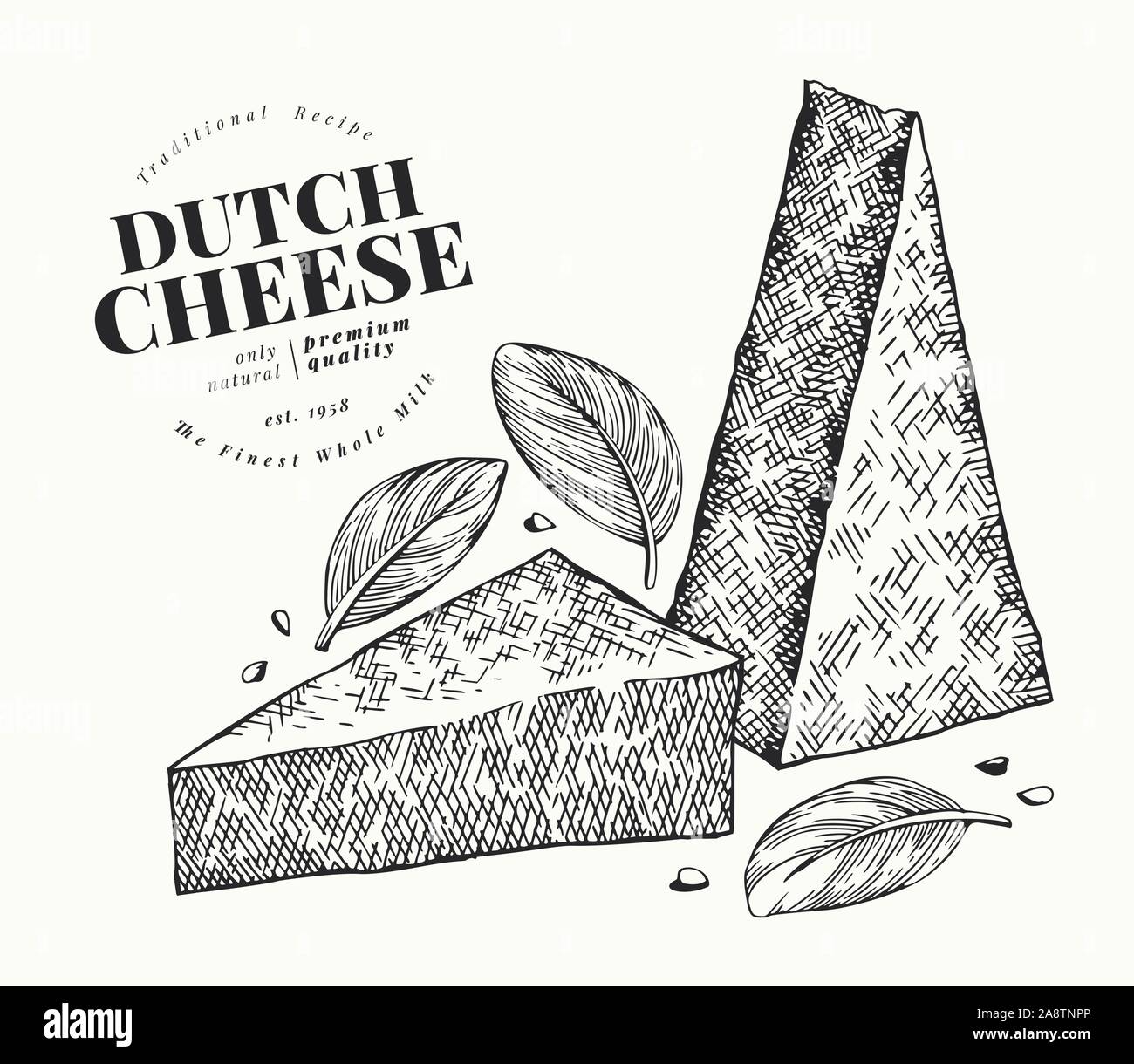 Dutch cheese illustration. Hand drawn vector dairy illustration ...