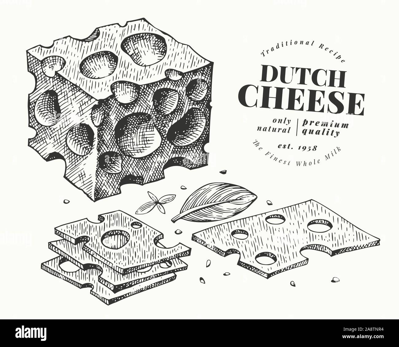 Dutch cheese illustration. Hand drawn vector dairy illustration ...