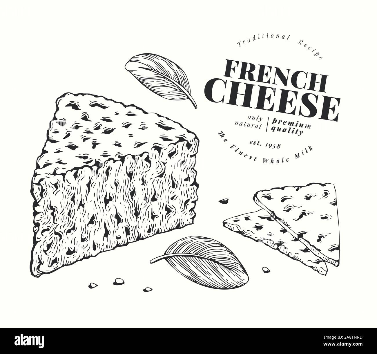 French cheese illustration. Hand drawn vector blue cheese illustration ...