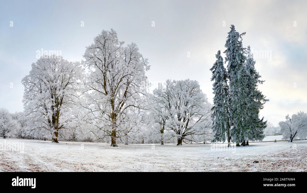 Frozen white landscape hi-res stock photography and images - Alamy