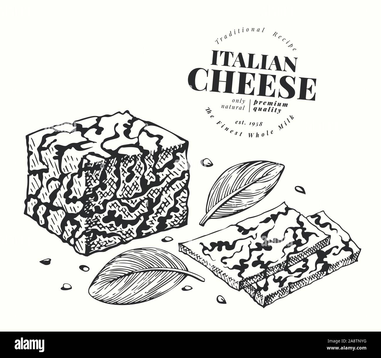 Dutch cheese illustration. Hand drawn vector dairy illustration ...
