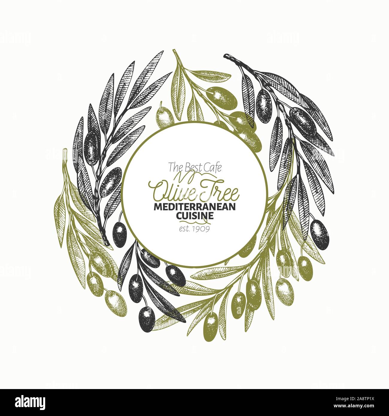Olive branch design template. Hand drawn vector food illustration ...